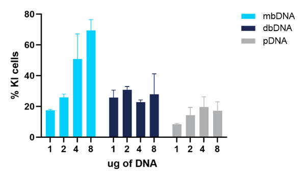 MegaBulb DNA: a Non-Viral ssDNA Breakthrough Revolutionizing Gene Editing