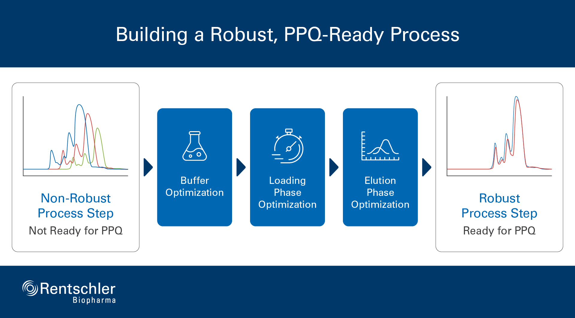 Fast Path to Market: Going from GMP1 to PPQ in Just 12 Months