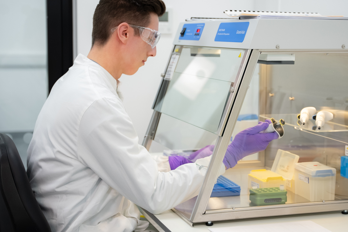 Improving AAV Vector Quality with In-Process Monitoring of Capsid Formation
