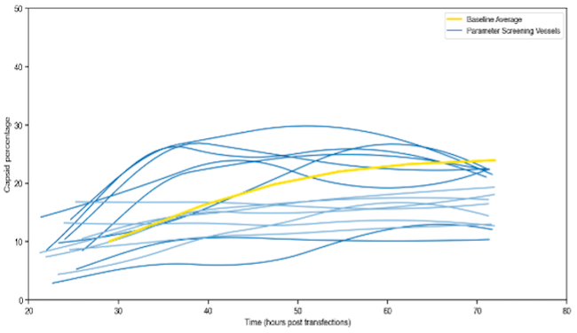 Improving AAV Vector Quality with In-Process Monitoring of Capsid Formation