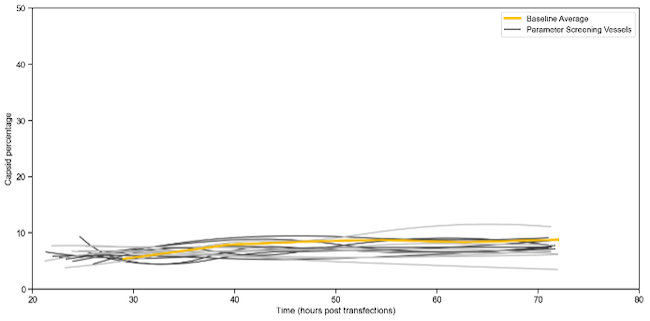 Improving AAV Vector Quality with In-Process Monitoring of Capsid Formation