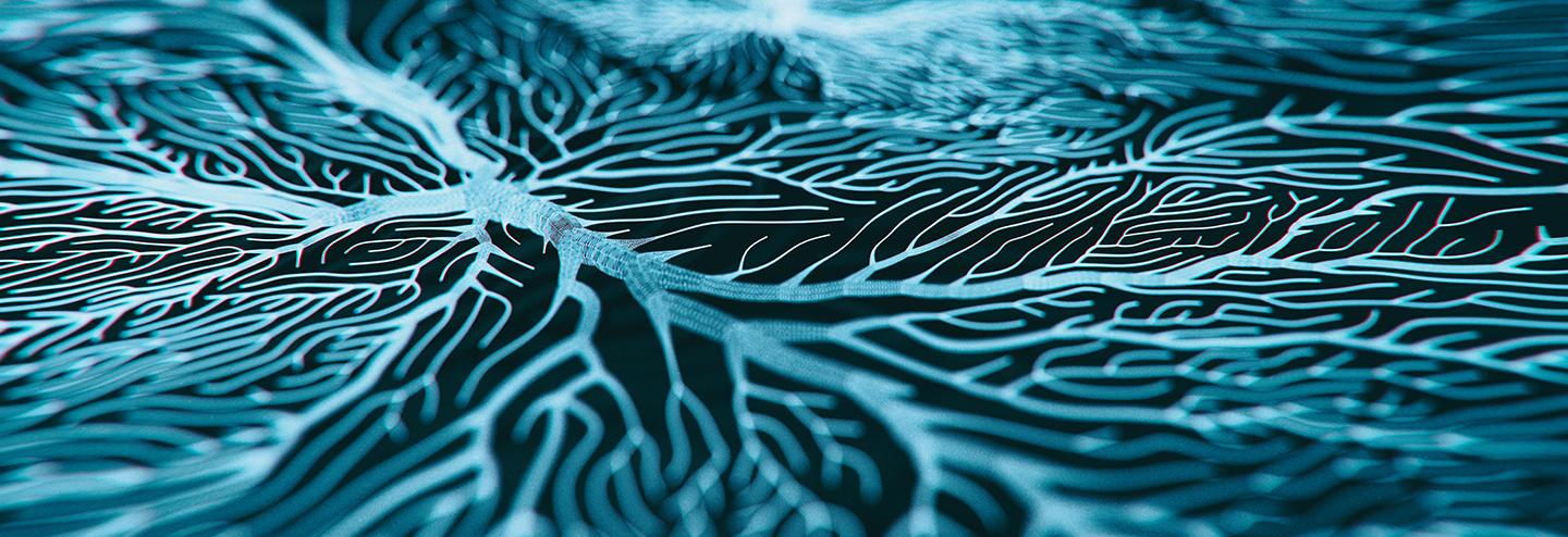 Leveraging the Cell Cytoskeleton for the Treatment of Cancer and ...