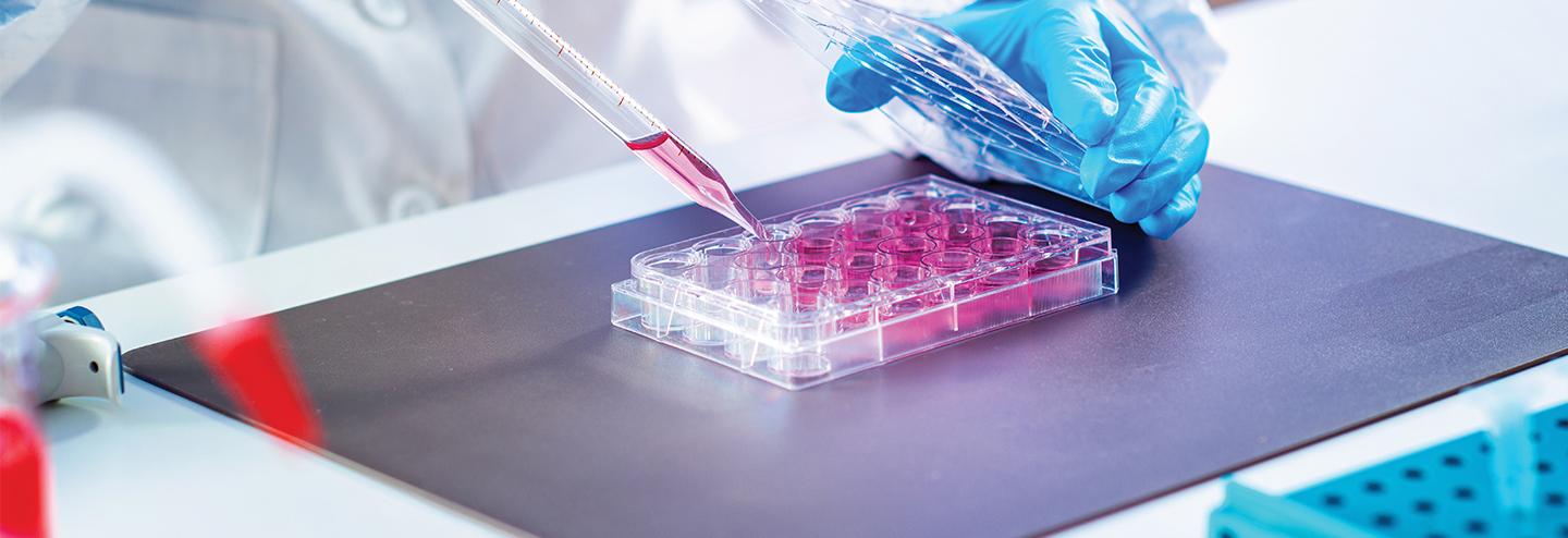 Accelerating Drug Development with Microphysiological Systems (MPS)