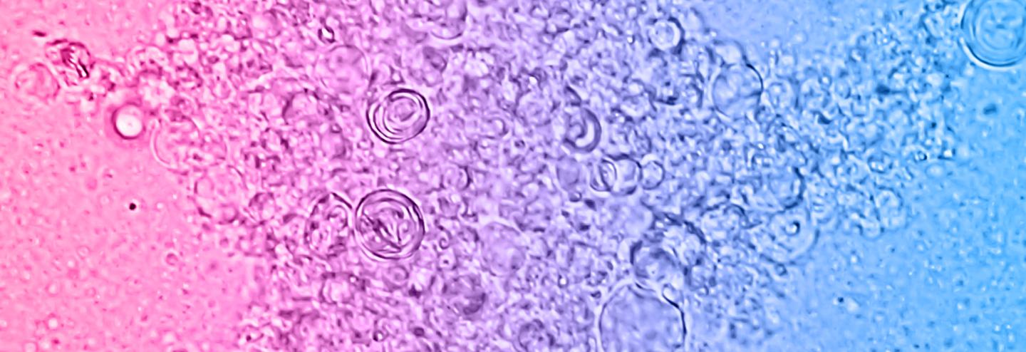 Successful Drug Development with Synthetic Lipids: Critical Aspects and ...