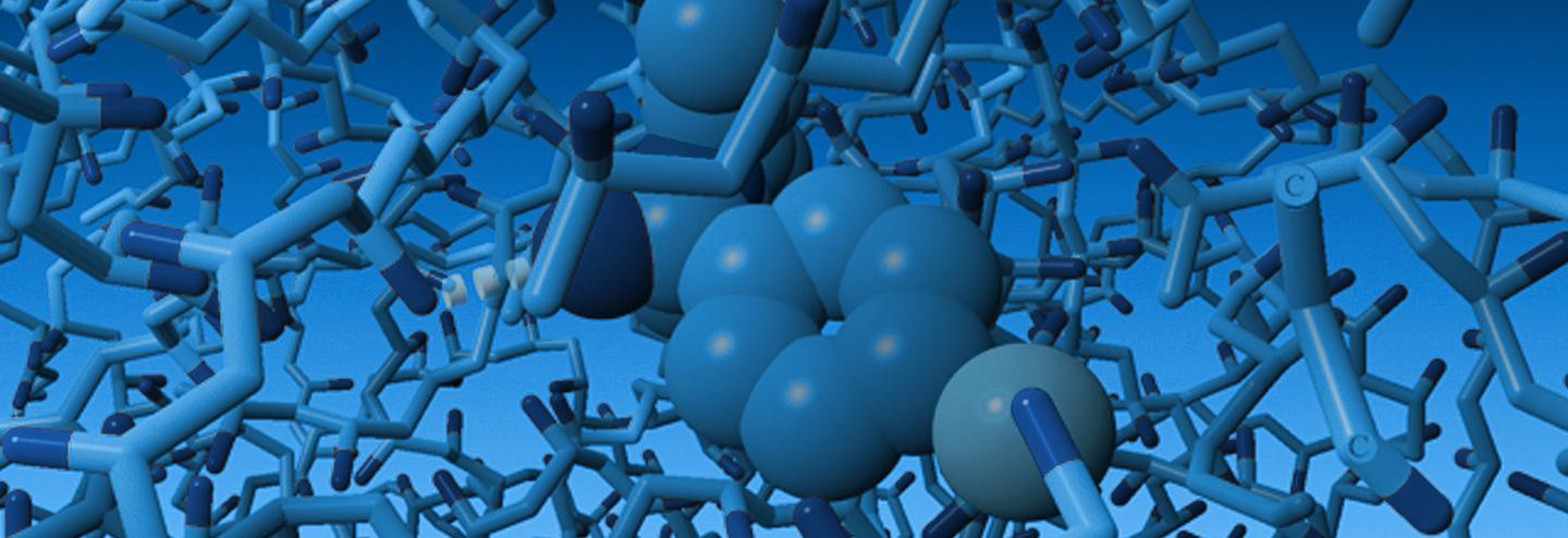 Solving Solubility Challenges with a Polyvinyl Alcohol Excipient and ...