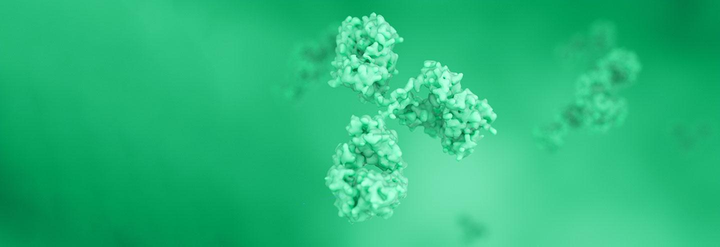 Accelerated and Cost-Effective Antibody Design Using Artificial ...