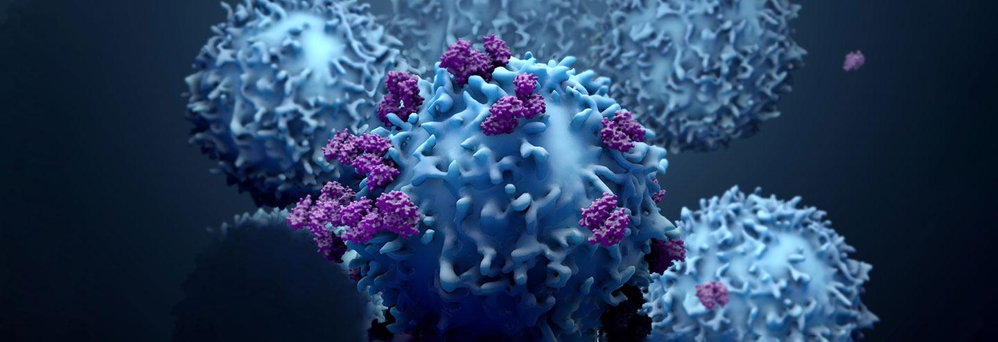 Targeted Immune System Activation: A Paradigm Shift in Immuno-oncology