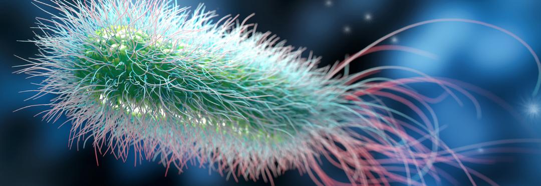 On the Journey to a New Industry Standard for E. coli-based Protein ...