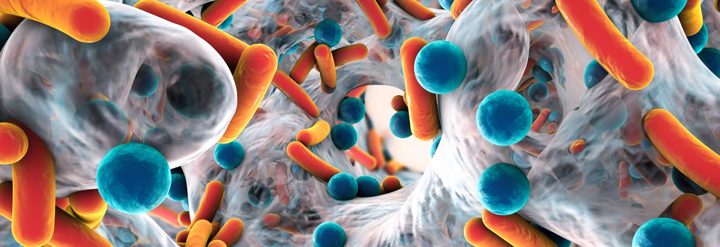 Unleashing the Power of the Microbiome: Advancements, Challenges, and ...