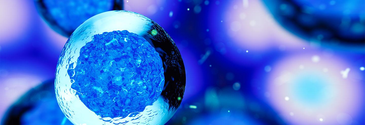 Creating Efficiencies in Engineered Cell Therapy Development with ...