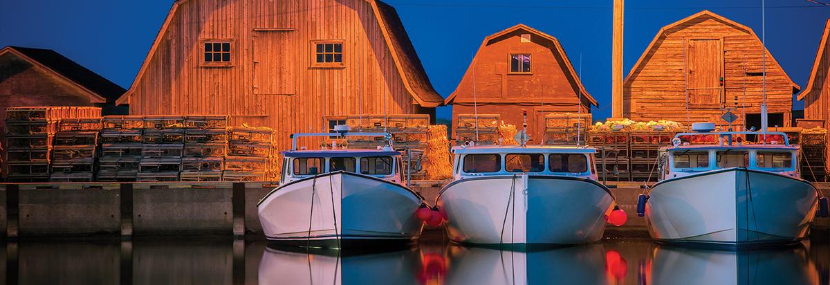 Come Home to BioVectra