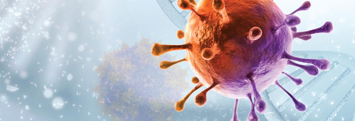 Accelerating The Development of Viral Vector Manufacturing Processes