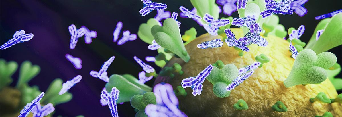 Continuous Inline Viral Inactivation for Next-Generation Bioprocessing