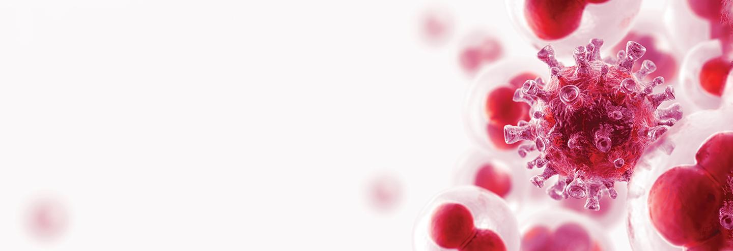 Production of AAV Vectors Using Suspension Mammalian and Insect Cell ...