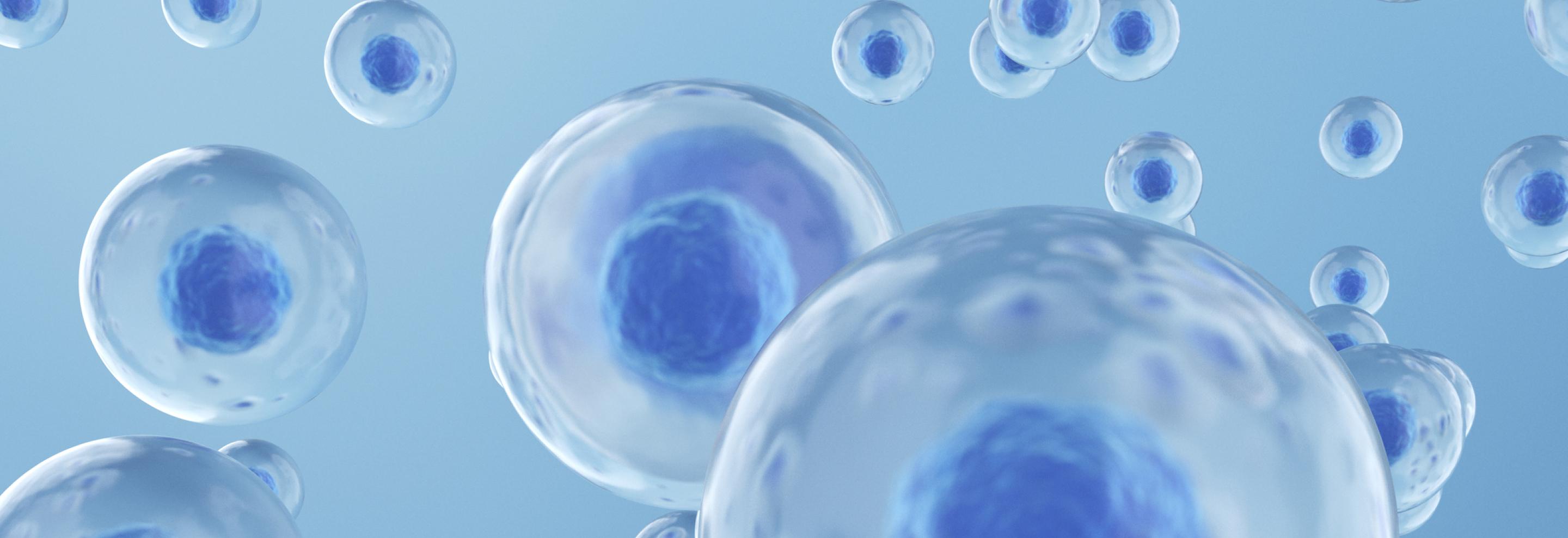 Intelligent Cell Processing Enables Consistent, Reproducible, and ... Intelligent Cell Processing Enables Consistent, Reproducible, and ...