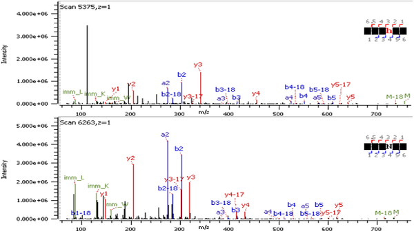 Accelerating Protein Sequence Variant Analysis