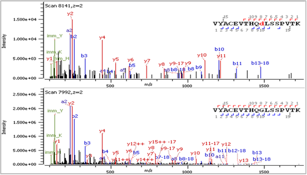 Accelerating Protein Sequence Variant Analysis