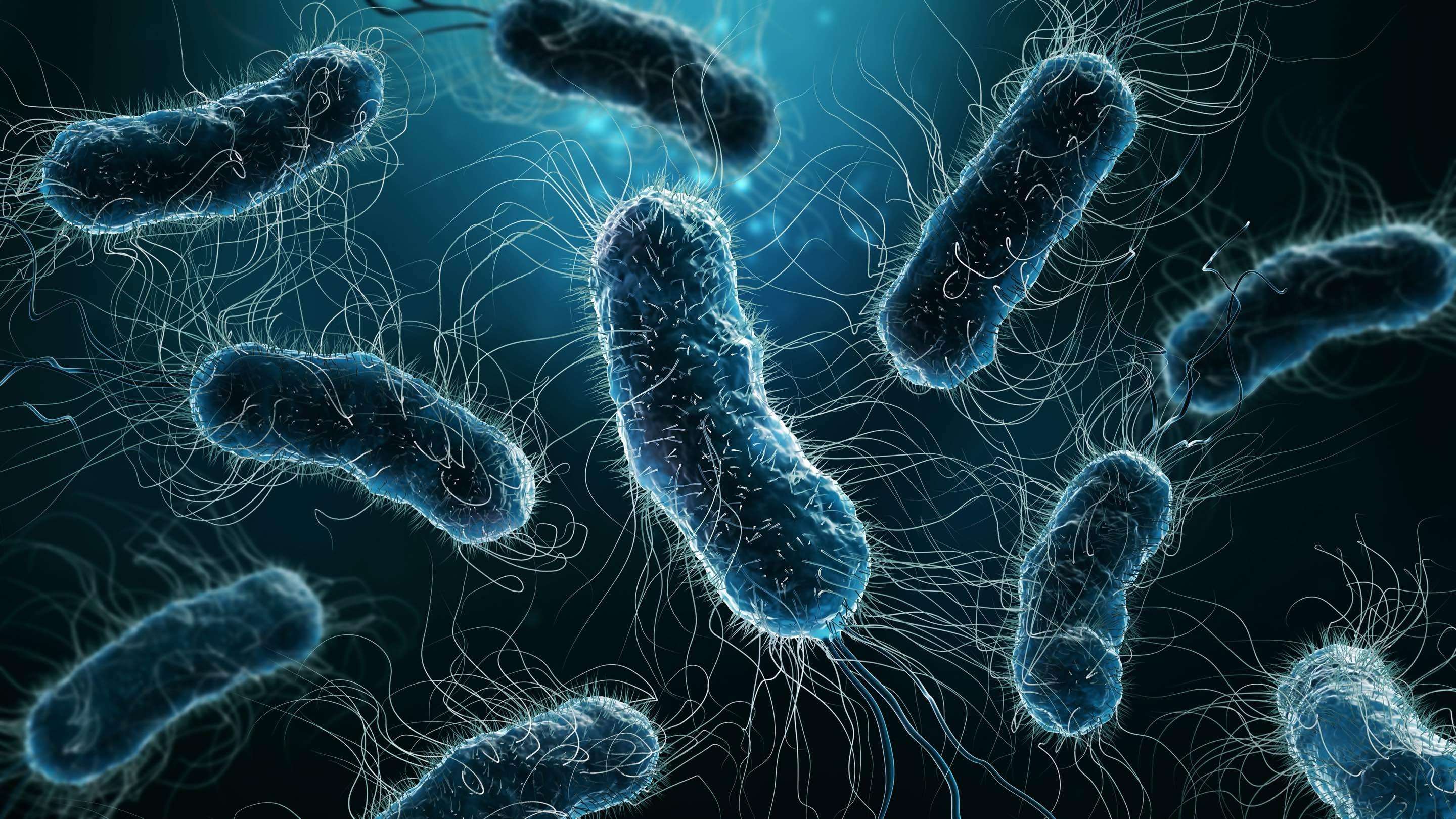 Building the Future of E. coli Biomanufacturing with Protein Secretion