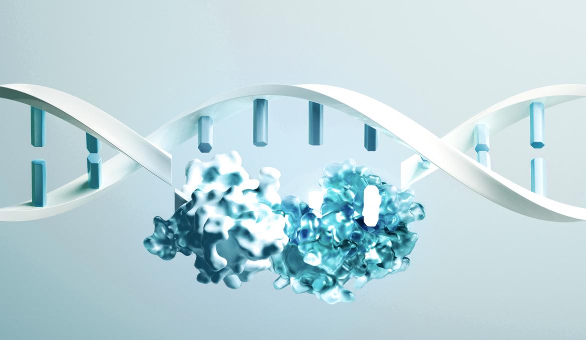 Screening T7 Polymerases to Optimize xRNA Yield and Quality