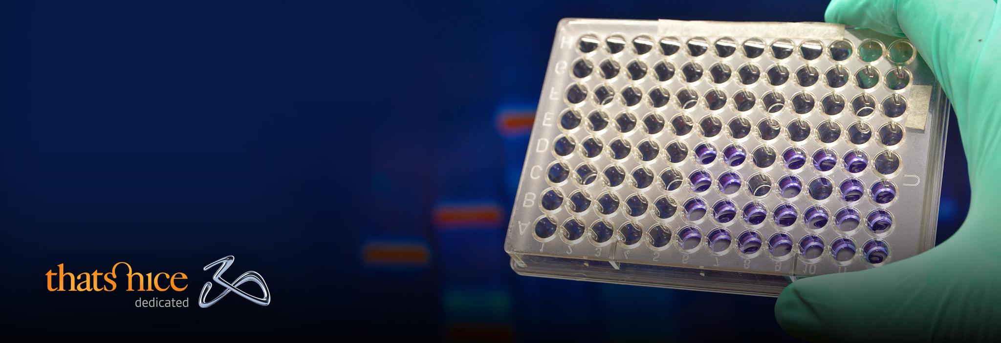 The High-Throughput Screening Transformation in Modern Drug Development