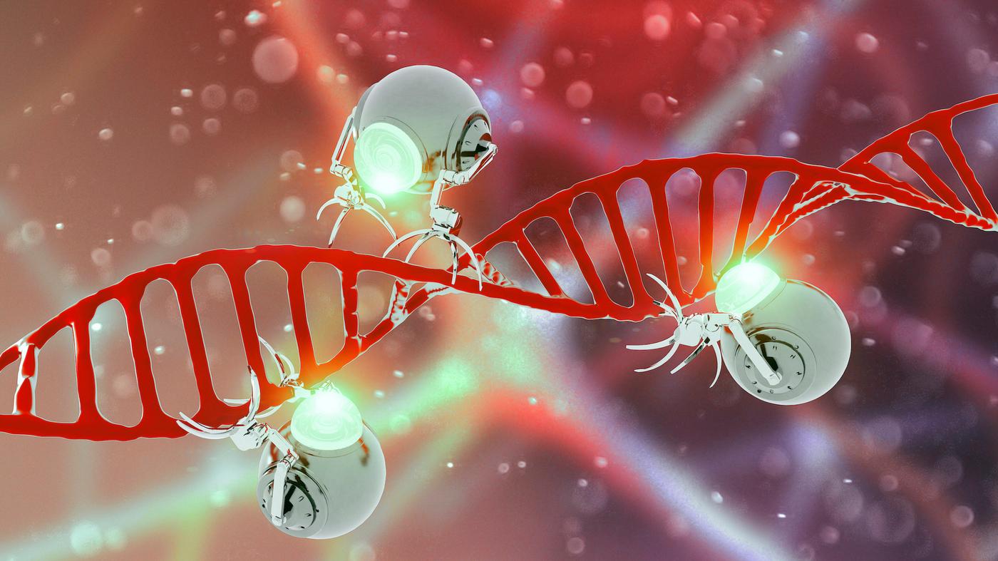 DNA Nanobots: Precision Machines at the Molecular Frontier