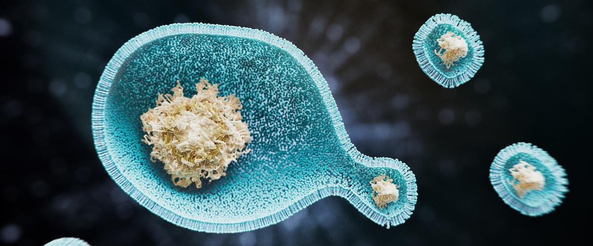 Beyond the Proteasome: Unlocking New Frontiers with AUTACs and LYTACs