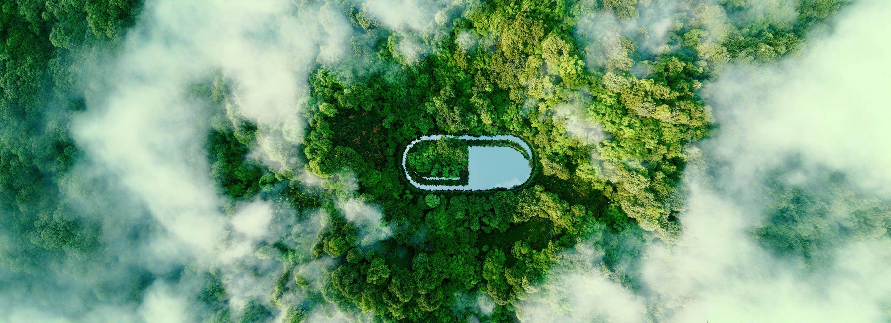 Greener on Paper, Riskier in Practice: The Reality of Sustainable ...