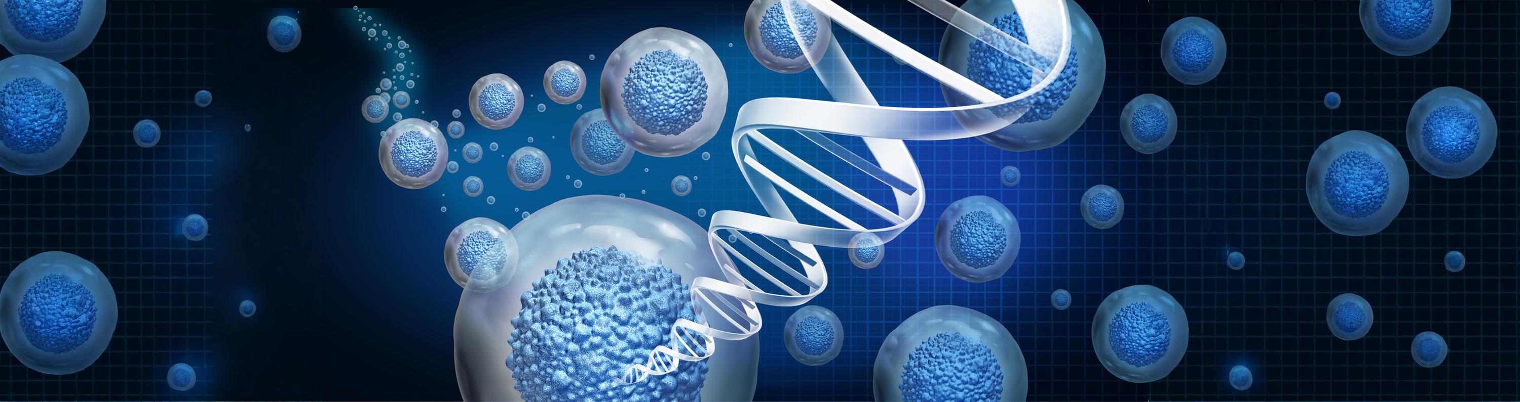 A Release-by-Exception Model for Cell Therapy Quality Decisions