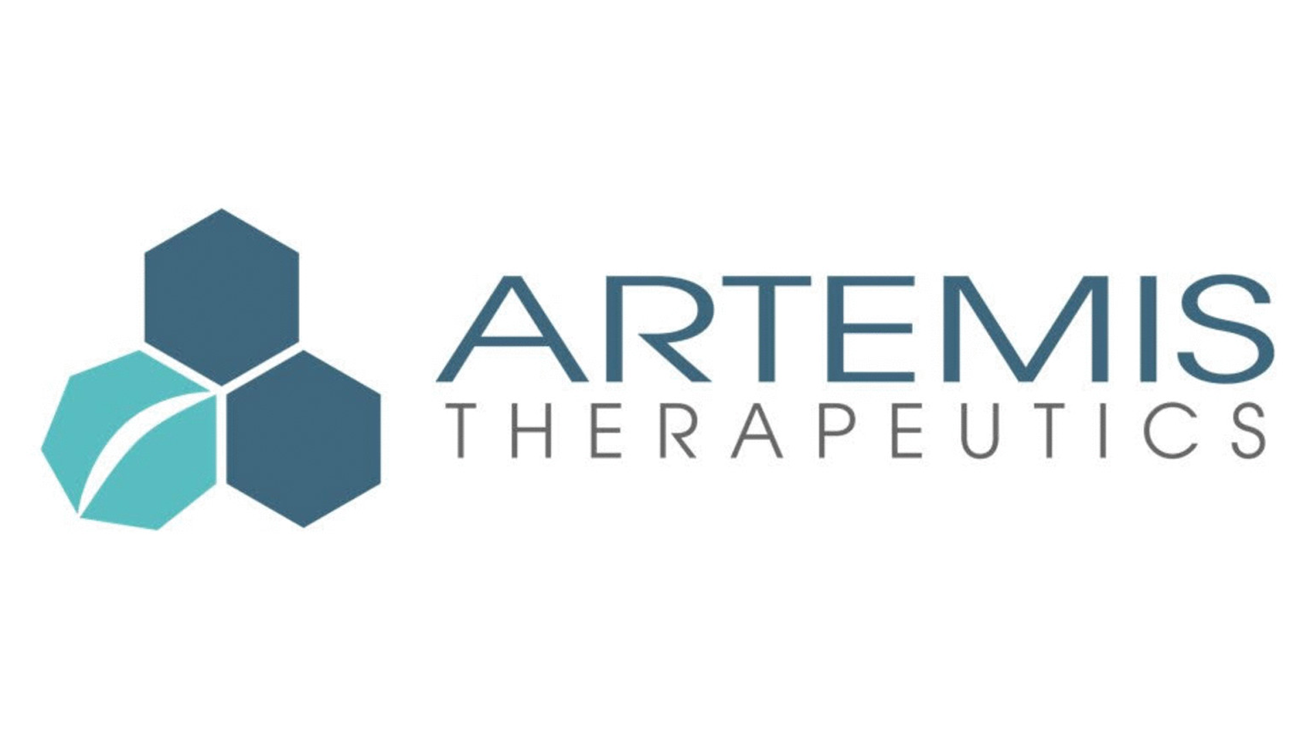 artemis developments